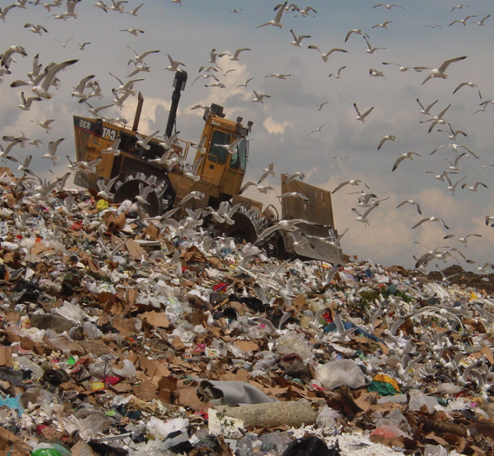 Residential Food Waste Recycling Service In Salt Lake City | Momentum ...
